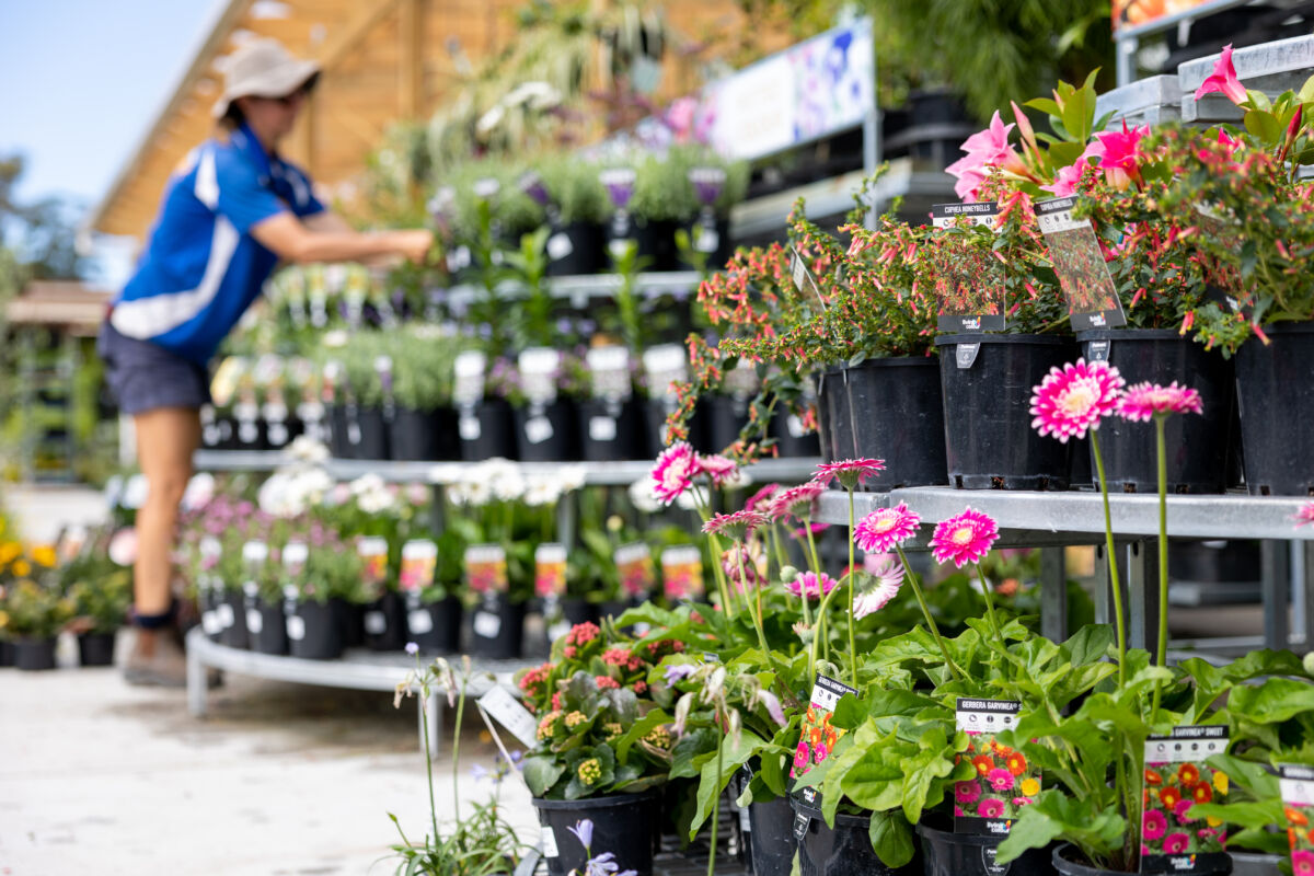 Coffs Harbour Nursery - Coffs Garden World